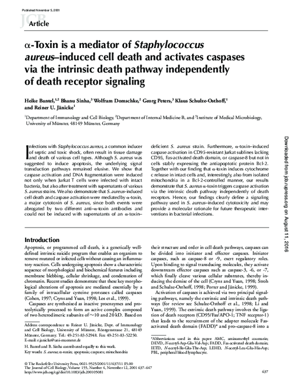 (PDF) alpha-Toxin is a mediator of Staphylococcus aureus-induced cell ...