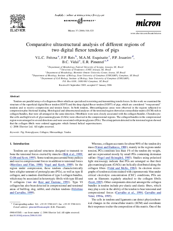 (PDF) Comparative ultrastructural analysis of different regions of two ...