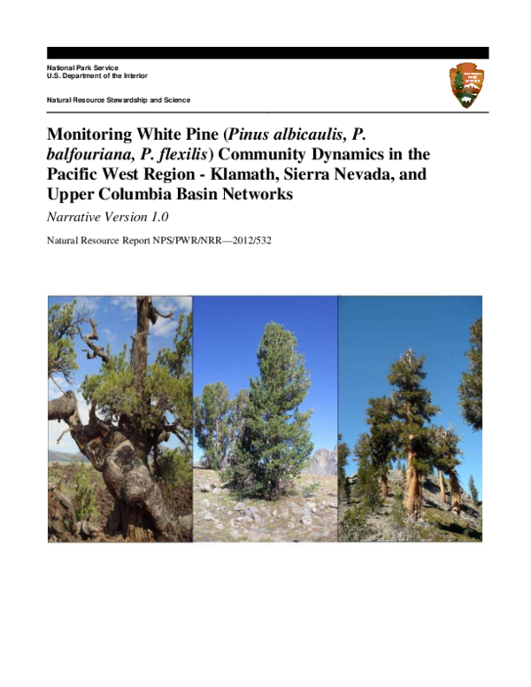 (PDF) Monitoring White Pine (Pinus albicaulis, P. balfouriana, P ...