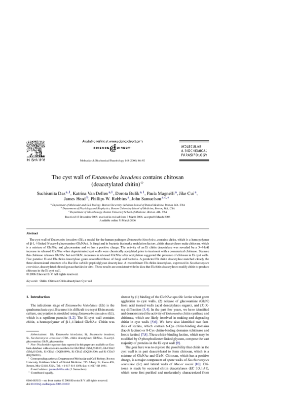 (PDF) The cyst wall of Entamoeba invadens contains chitosan ...