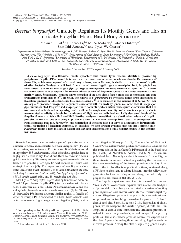 (PDF) Borrelia burgdorferi Uniquely Regulates Its Motility Genes and ...