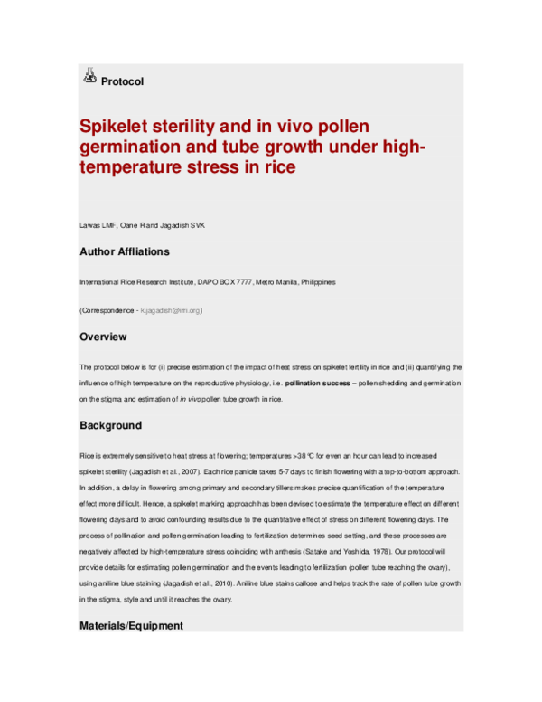 (PDF) Spikelet sterility and in vivo pollen germination and tube growth ...