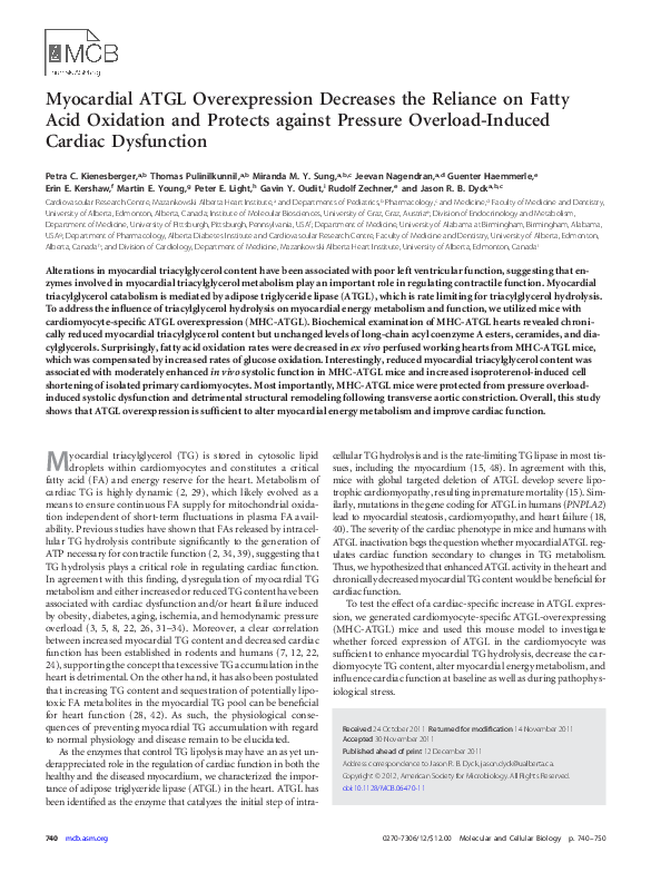 (PDF) Myocardial ATGL Overexpression Decreases the Reliance on Fatty ...
