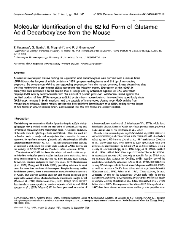 (PDF) Molecular Identification of the 62 kd Form of Glutamic Acid ...