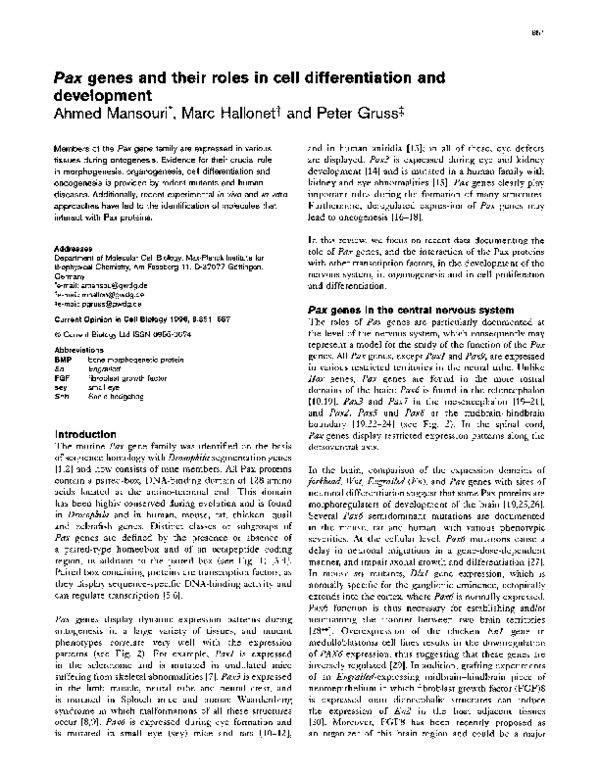 Pdf Pax Genes And Their Roles In Cell Differentiation And Development