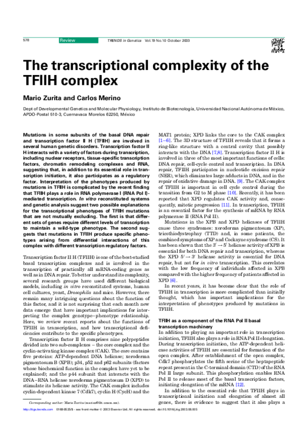 (PDF) The transcriptional complexity of the TFIIH complex