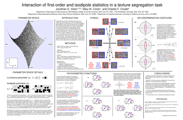 (PDF) Interaction of first-order and isodipole statistics in a texture segregation task