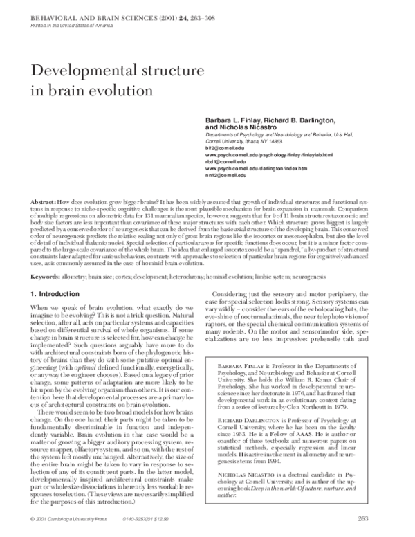 (PDF) Developmental structure in brain evolution