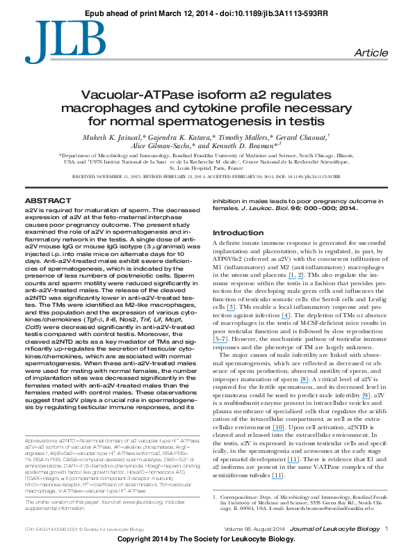 (PDF) Vacuolar-ATPase isoform a2 regulates macrophages and cytokine ...
