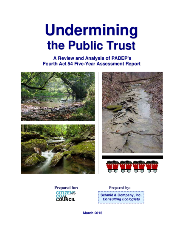 (PDF) Undermining The Public Trust