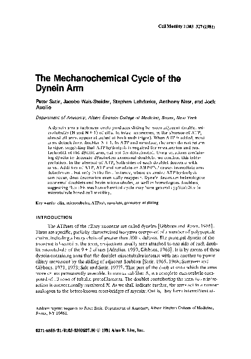 (PDF) The mechanochemical cycle of the dynein arm