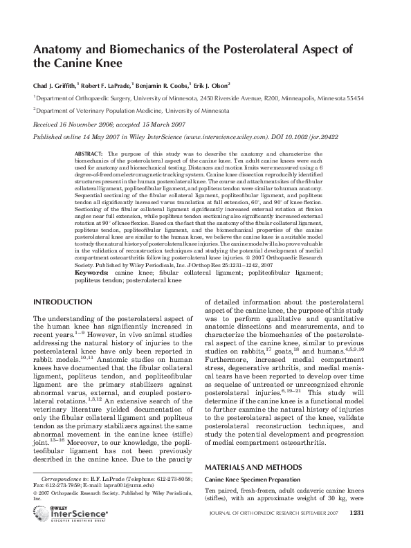 (PDF) Anatomy and biomechanics of the posterolateral aspect of the ...