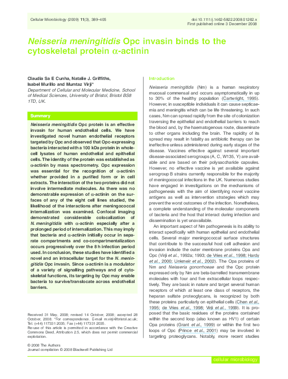 (PDF) Neisseria meningitidis Opc invasin binds to the cytoskeletal ...