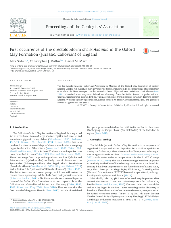 (PDF) First occurrence of the orectolobiform shark Akaimia in the ...