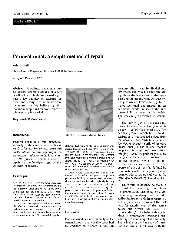 (PDF) Perineal canal: a simple method of repair