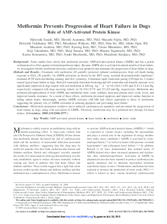 (PDF) Metformin Prevents Progression of Heart Failure in Dogs: Role of ...