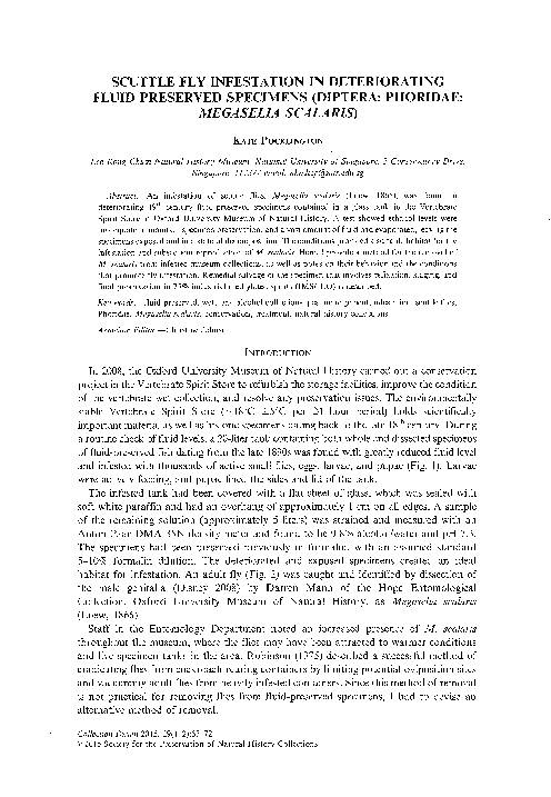 (PDF) Scuttle fly infestation in deteriorating fluid-preserved ...