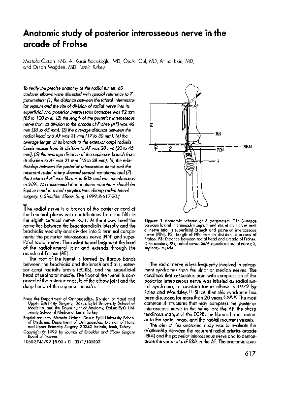 (PDF) Anatomic study of posterior interosseous nerve in the arcade of ...
