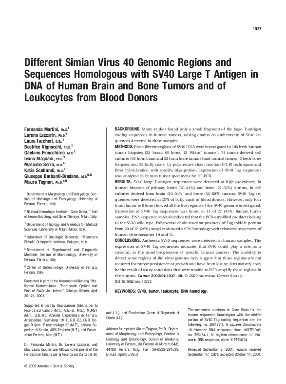 (PDF) Different simian virus 40 genomic regions and sequences ...