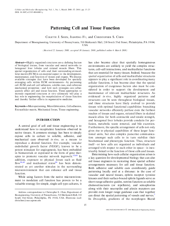 (PDF) Patterning Cell and Tissue Function