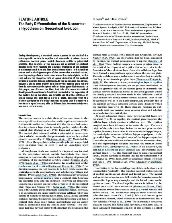 (PDF) The Early Differentiation of the Neocortex: a Hypothesis on ...