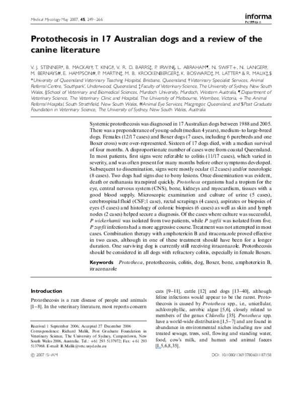 (PDF) Protothecosis in 17 Australian dogs and a review of the canine ...