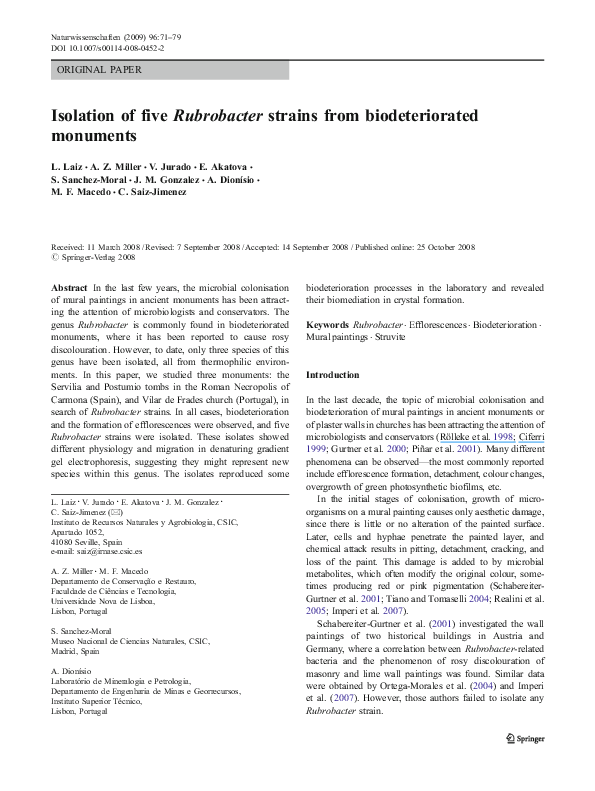 (PDF) Isolation of five Rubrobacter strains from biodeteriorated monuments