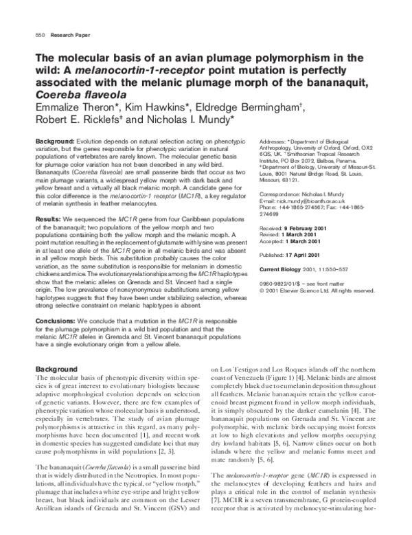 (PDF) The molecular basis of an avian plumage polymorphism in the wild
