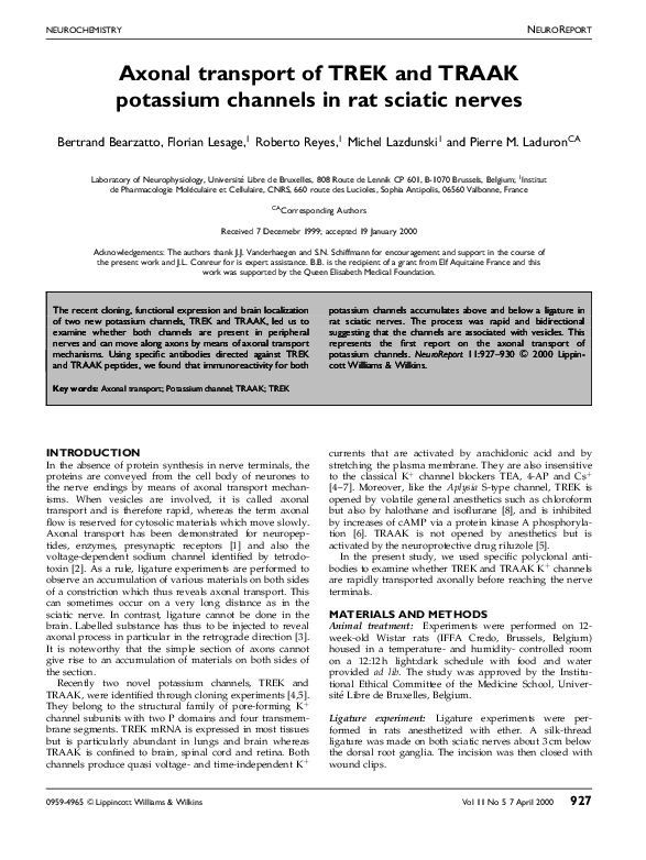 (PDF) Axonal transport of TREK and TRAAK potassium channels in rat ...