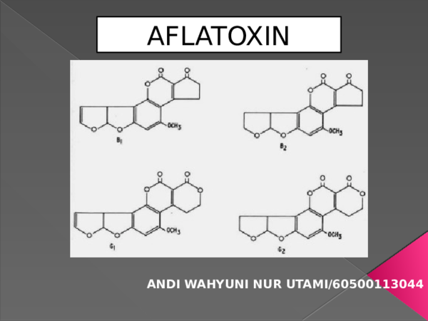 (PPT) AFLATOXIN.pptx