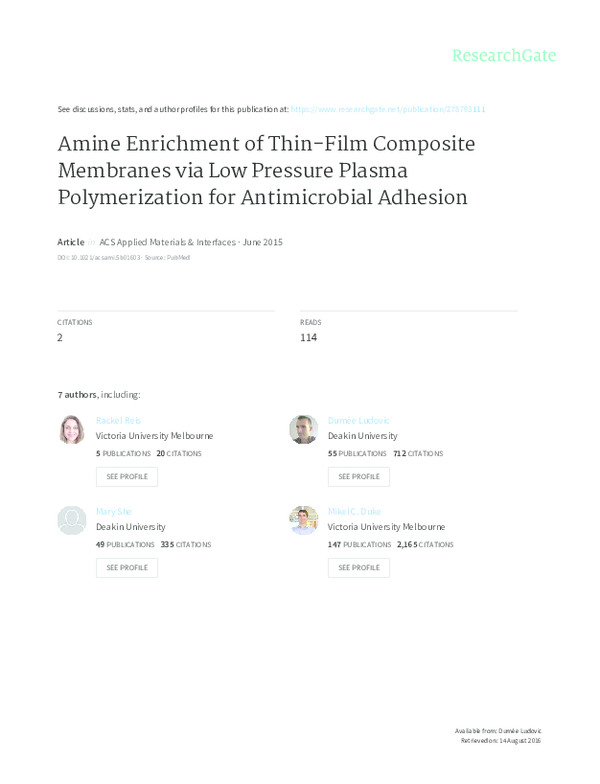 (PDF) Amine Enrichment of Thin-Film Composite Membranes via Low ...