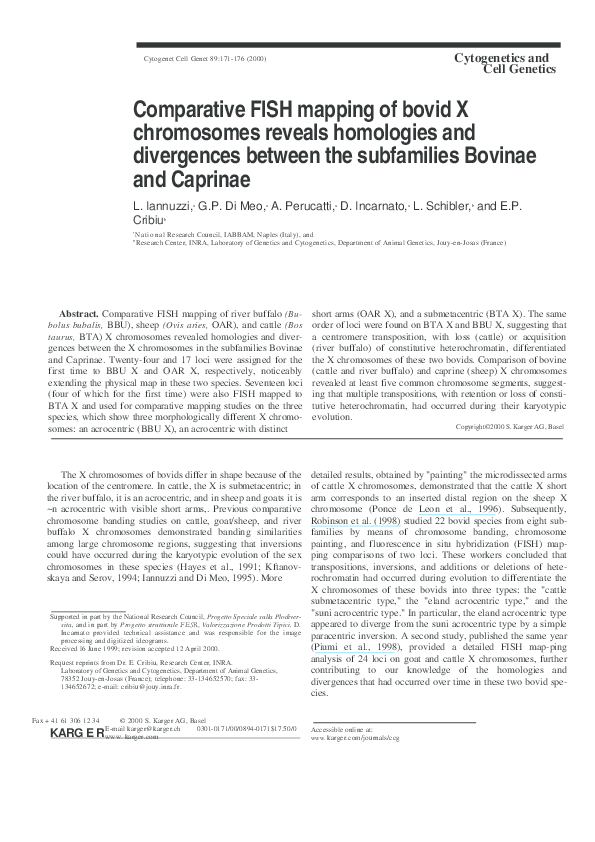 (PDF) Comparative FISH mapping of bovid X chromosomes reveals ...