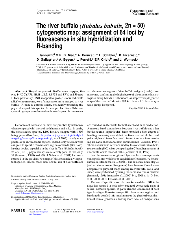 (PDF) The river buffalo (Bubalus bubalis, 2n = 50) cytogenetic map ...