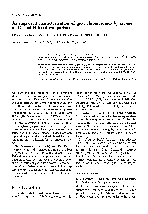 (PDF) An Improved Characterization of Goat Chromosomes by Means of G ...