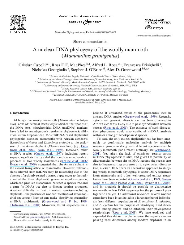 (PDF) A nuclear DNA phylogeny of the woolly mammoth ( Mammuthus primigenius