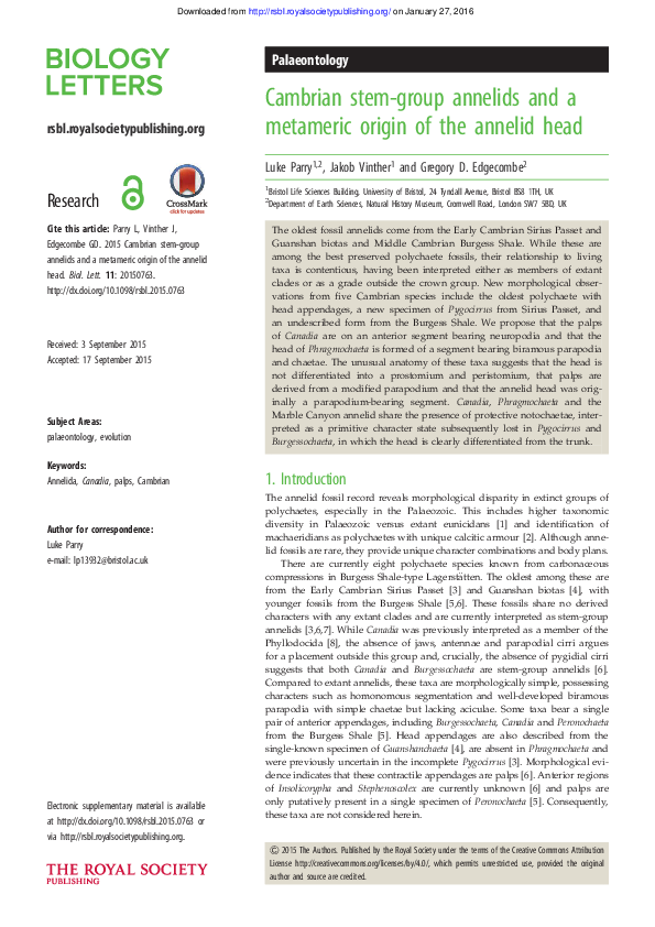 (PDF) Cambrian stem-group annelids and a metameric origin of the ...