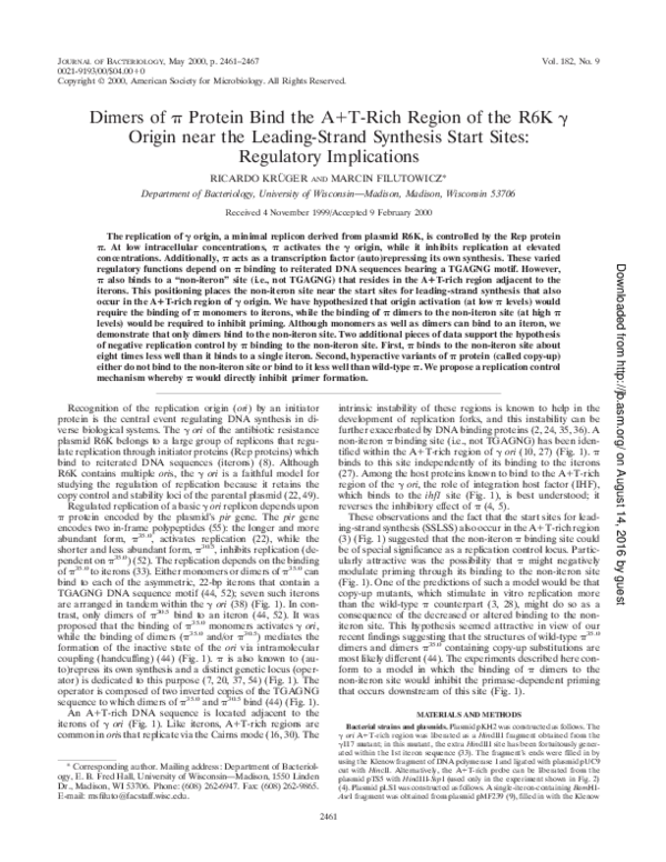 (PDF) Dimers of p Protein Bind the A1T-Rich Region of the R6K g Origin ...