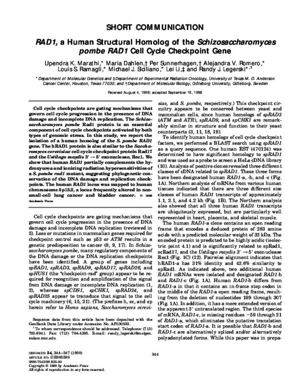 (PDF) RAD1,a Human Structural Homolog of the Schizosaccharomyces pombe ...