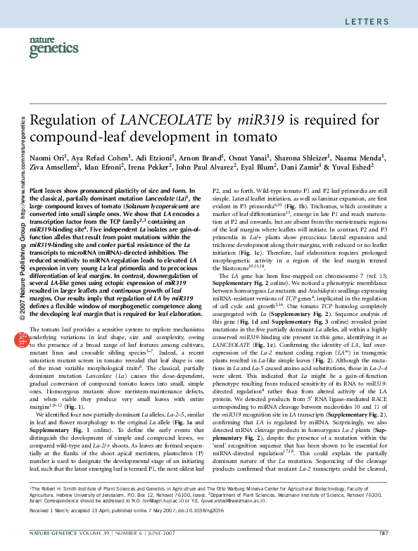(PDF) Regulation of LANCEOLATE by miR319 is required for compound-leaf ...