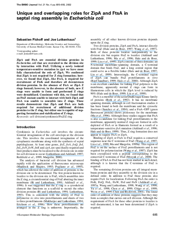 (PDF) Unique and overlapping roles for ZipA and FtsA in septal ring ...