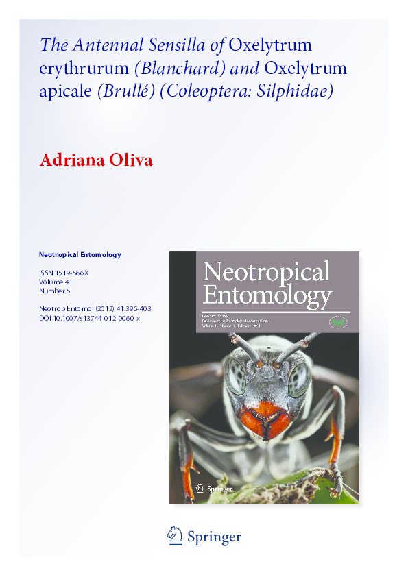 (PDF) External morphology of Trichogramma dendrolimi matsumura ...