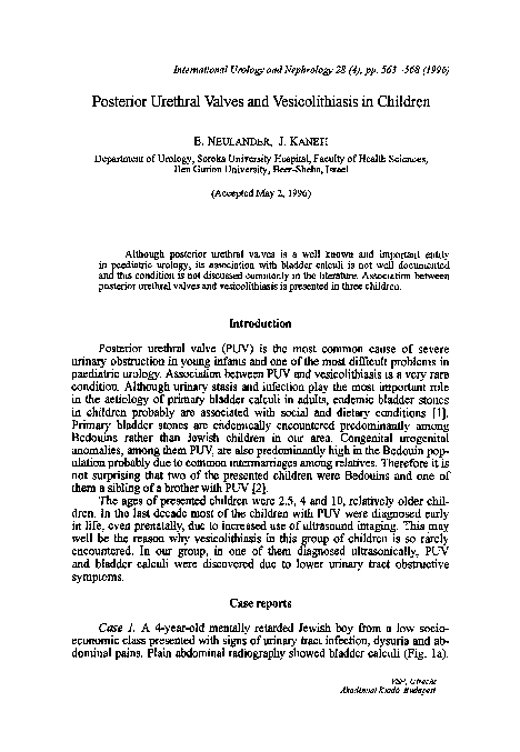(PDF) Posterior urethral valves and vesicolithiasis in children