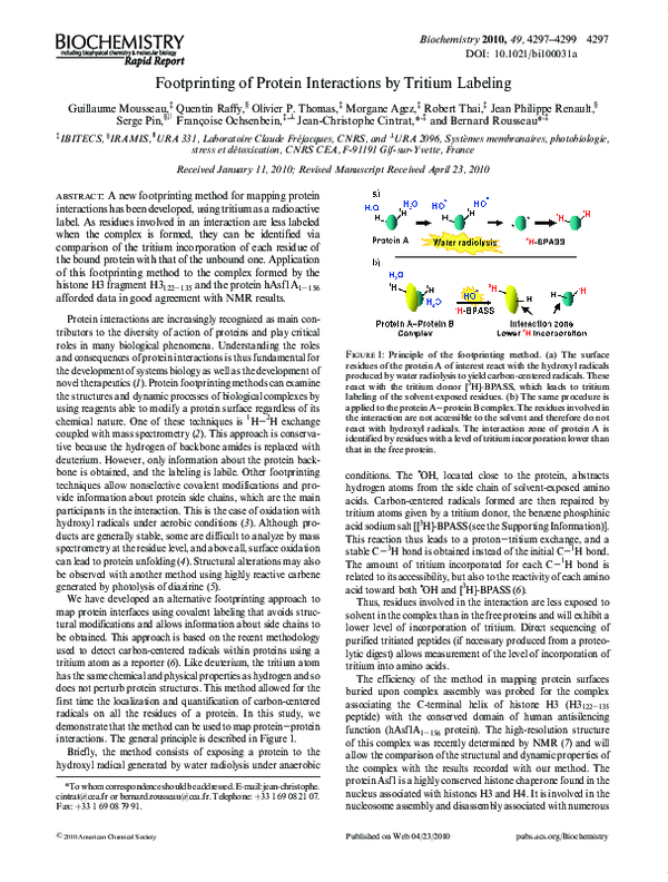 (PDF) Footprinting of Protein Interactions by Tritium Labeling