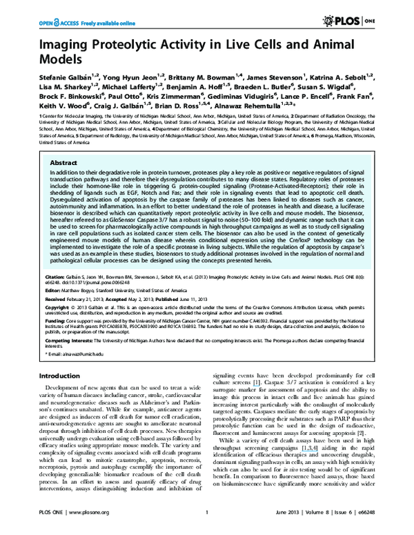 (PDF) Imaging Proteolytic Activity in Live Cells and Animal Models