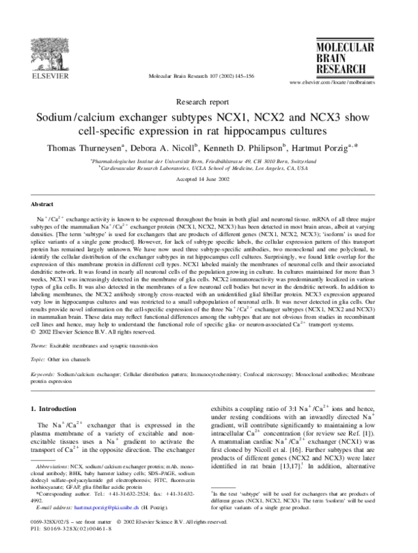 (PDF) Sodium/calcium exchanger subtypes NCX1, NCX2 and NCX3 show cell ...