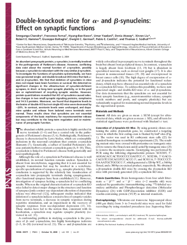 (PDF) Double-knockout mice for - and -synucleins: Effect on synaptic ...