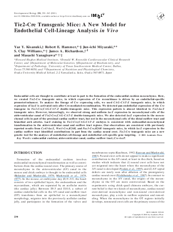 (PDF) Tie2-Cre Transgenic Mice: A New Model for Endothelial Cell ...