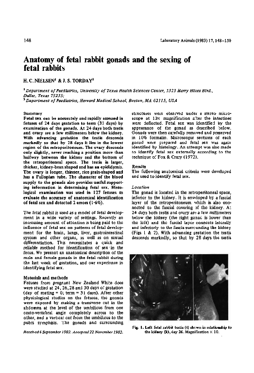 (PDF) Anatomy of fetal rabbit gonads and the sexing of fetal rabbits