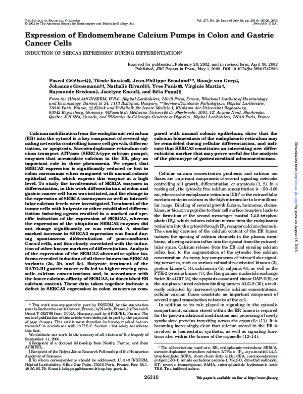 (PDF) Induction of cell differentiation activates transcription of the ...