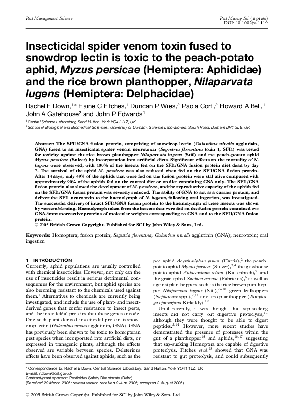 (PDF) Insecticidal spider venom toxin fused to snowdrop lectin is toxic ...